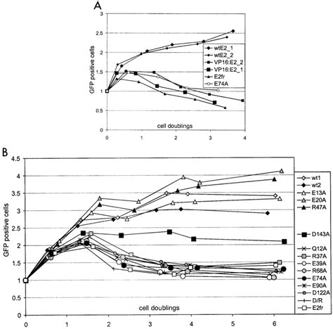 Plasmid Partitioning Assay Jurkat Cells Were Transfected With Prete2