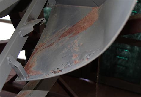 Naked To The World Dino Restoration