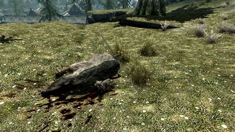 Request Question Marriageable Feral Wolf Follower Request Find Skyrim Non Adult Mods