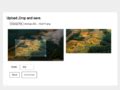 JavaScript Crop Image Before Upload Working CodeHim