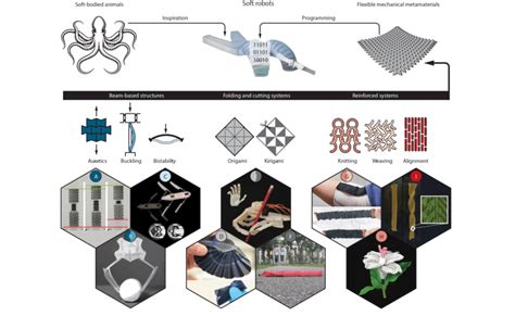 A Metamaterial Approach To Soft Robotics Robot Responses 2 Can Be