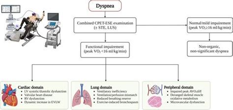 Combining Cardiopulmonary Exercise Testing With Echocardiography A… Alessia Gimelli