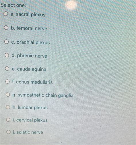 Solved Select One O A Sacral Plexus O B Femoral Nerve O