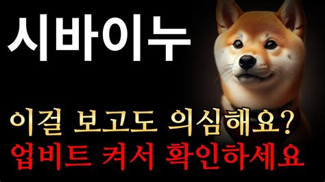 시바이누 코인 진짜 이걸 보고도 의심해요 당장 업비트 키세요 Youtube