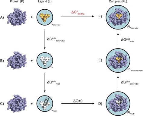 Thermodynamic Cycle Used To Compute Binding Free Energies By The