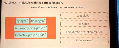 match each molecule with the correct function drag each item on the