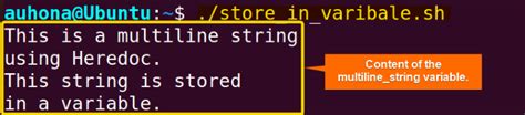 Bash Multiline String Linuxsimply
