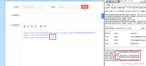 Workerman Tcp服务端workman Modbus Tcp物联网 Csdn博客