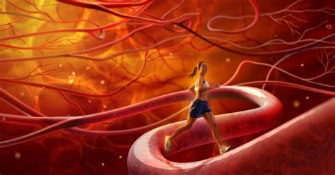 ქოლესტერინის ყველაზე ძლიერი მტერი მისი დონე 5 ჯერ მცირდება სასარგებლო რჩევები