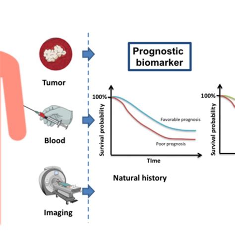 The Difference Between A Prognostic And A Predictive Biomarker Download Scientific Diagram