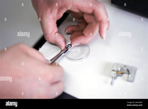 Atomic Force Microscope AFM Sample Holder Being Prepared By A Researcher Also Called Scanning