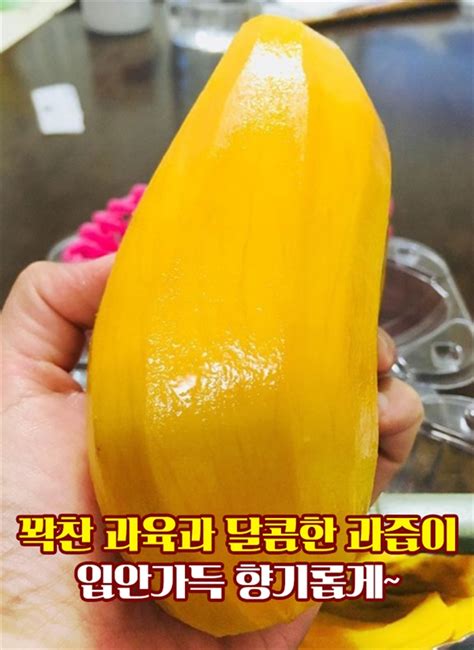 행사 태국황제망고 4kg
