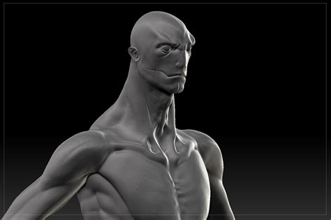 Python Assassin On Behance