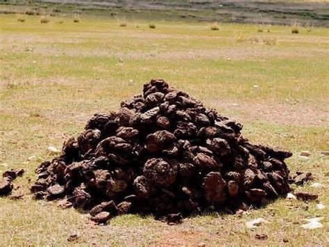 Эрүүл мэндээ Эрүүл мэндээ хайрладаг хүн бүрт зориулав