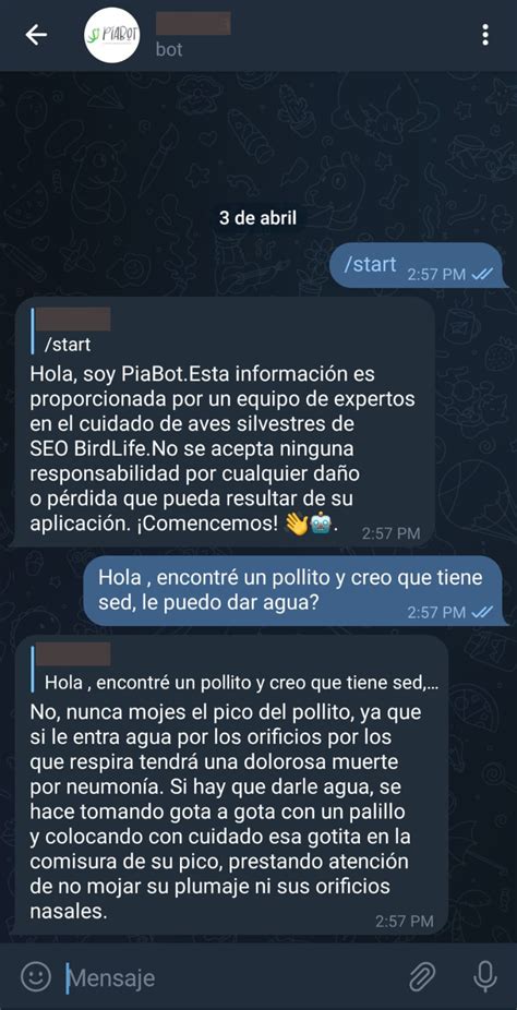 Github Factoria F5 Ai Bootcamp 1 Edicion Chatbot Seo Birdlife