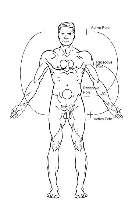 Manifesto Integrate Sex And Spirit