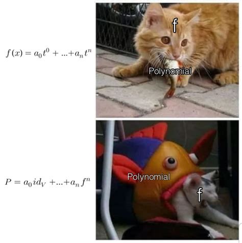 Algebra Iii The Revenge Of The Polynomial Rmathmemes