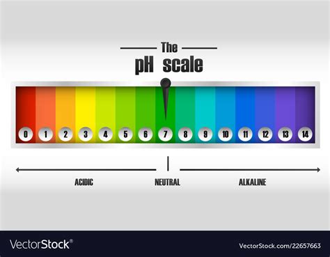 Ph Scale Diagram Royalty Free Vector Image Vectorstock