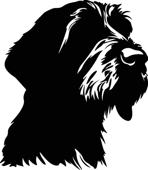 German Wirehaired Pointer Silhouette Portrait 39056506 Vector Art At