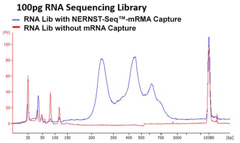 Nernst Seq™ Nanoparticle Enhanced Rna Spatial And Temporal Sequencing Nvigen