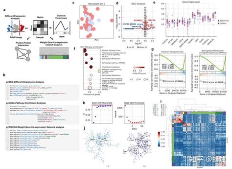 omicverse 解决整个转录组学分析的python框架 知乎