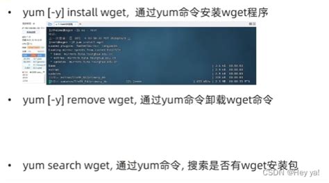 软件安装linux wegt安装apt csdn博客