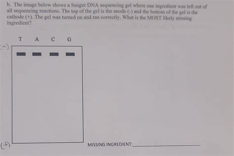 Solved B The Image Below Shows A Sanger DNA Sequencing Gel Chegg Com