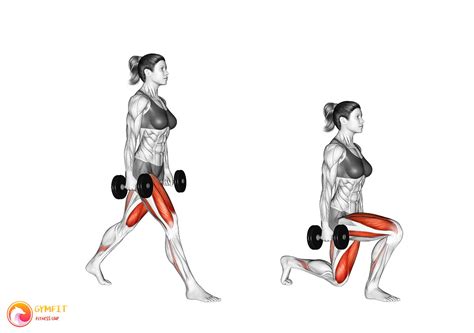 لانچ ثابت با دمبل آموزش کامل، عضلات درگیر و اشتباهات رایج