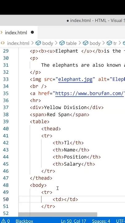 Html Table Coder 2bcoders Codinglife Youtube