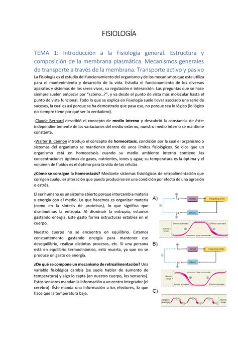 Tema 1 Apuntes 1 Warning Tt Undefined Function 32 Warning Tt