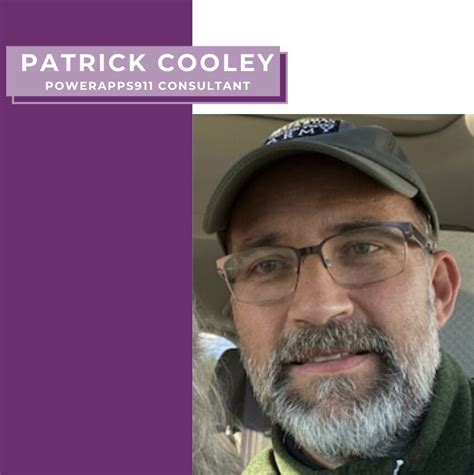 powerapps911 power platform consulting and training on linkedin