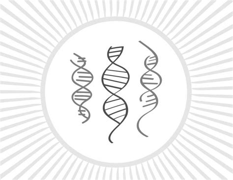 Mission Bio And Onconova Partner To Use Tapestri® Platform Single Cell Dna Analysis In Clinical