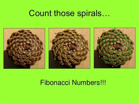 541 Interactive Ppt Fibonacci Sequence