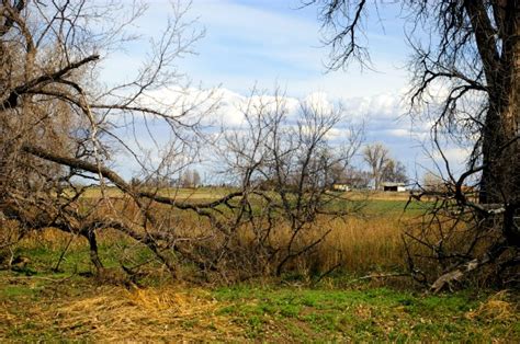 Small Passage Mikes Look At Life