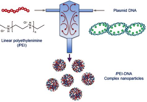 Figure 1 From Continuous Production Of Discrete Plasmid Dna Polycation