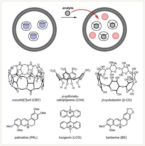 Dynamically Self Assembled Complexes Of Macrocyclic Hosts And Dyes Can Download Scientific