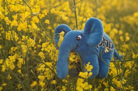 On Twitter 📆 We Have Released Php 7429 8018 And 815