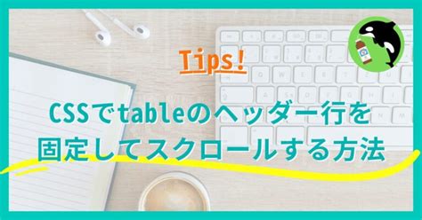 Cssでtableのtheadを固定してスクロールする方法シャッチクンのwebエンジニア入門