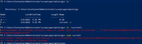 [bug] scoop in docker shims seem broken · issue 4792 · scoopinstaller
