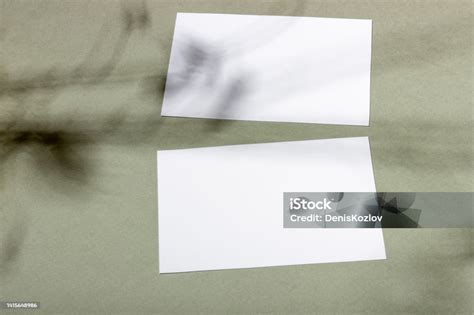 복사 공간이있는 빈 가로 용지로 모형 녹색 배경에 단단한 햇빛과 그림자 비즈니스 레이아웃용 템플릿입니다 상단보기 평평한 누워 엽서에 대한 스톡 사진 및 기타 이미지 Istock