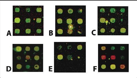 Microarray Spots For Which GenePix Estimates Of Log Ratios Are Download Scientific Diagram