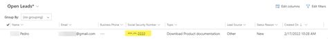 masking sensitive data in dataverse aric levin s digital