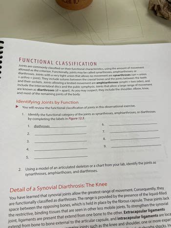 Answered: FUNCTIONAL CLASSIFICATION Joints are commonly classified on ...
