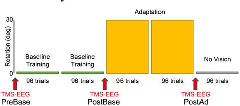 Figure 1 From Eeg Responses Induced By Cerebellar Tms At Rest And During Visuomotor Adaptation