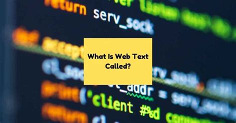 What Is Web Text Called Lipsum Hub