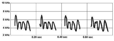 Spectrogram Of The Warble” Call Of The Bahama Nuthatch Download Scientific Diagram