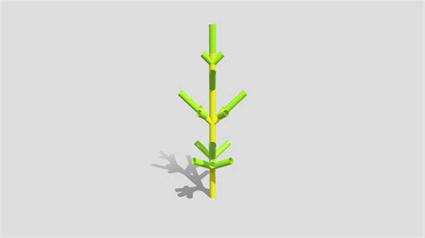 L System Tree 3d Model By Jimhanan [aebdea9] Sketchfab