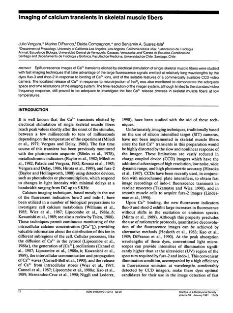 Imaging Of Calcium Transients In Skeletal Muscle Fibers Pmc