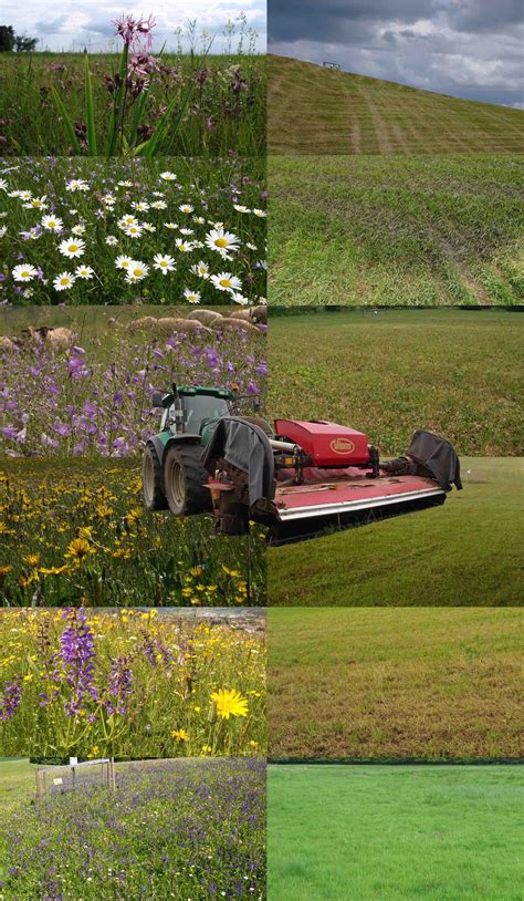 Intensification Of Land Use Leads To The Same Species Everywhere Research Communities By