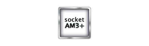 Socket Am3 Socket Am3